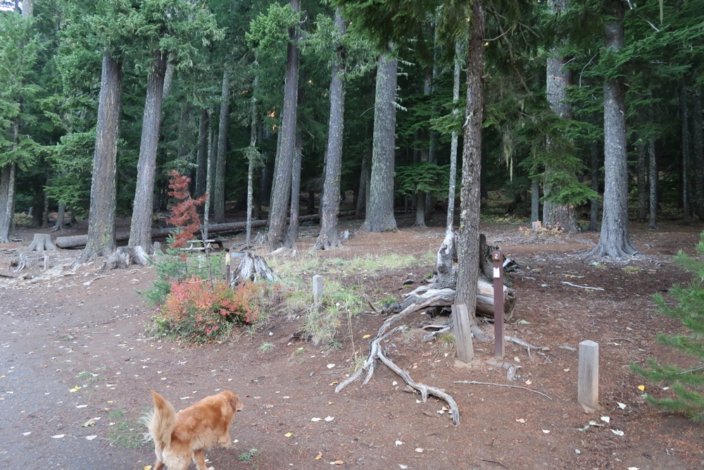 Goose Lake Campground - Gifford Pinchot National Forest, Washington