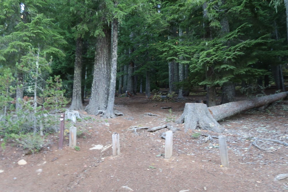 Goose Lake Campground - Gifford Pinchot National Forest, Washington
