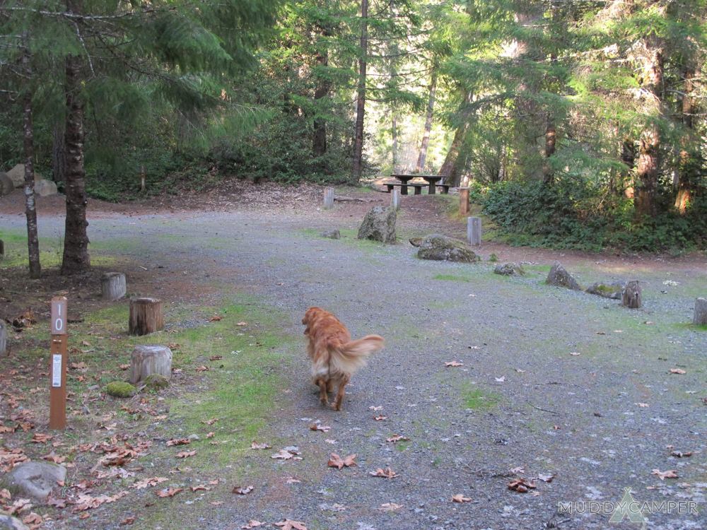 Whispering Falls Campground - Detroit Ranger District, Santiam Oregon
