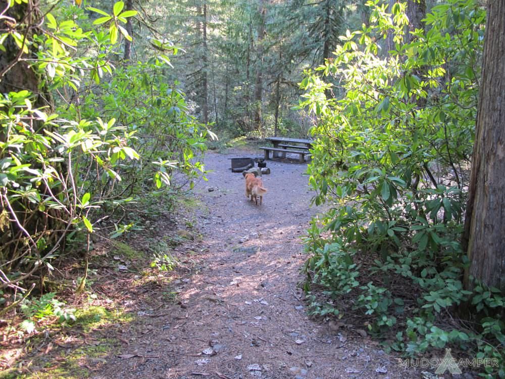 Whispering Falls Campground - Detroit Ranger District, Santiam Oregon