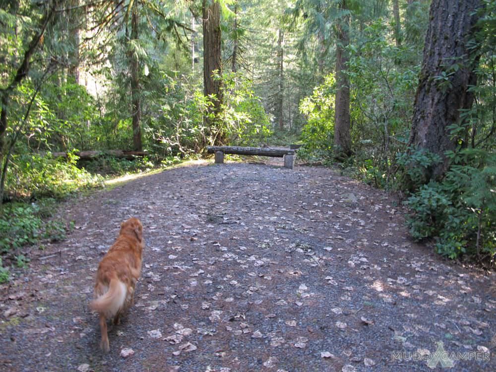 Whispering Falls Campground - Detroit Ranger District, Santiam Oregon