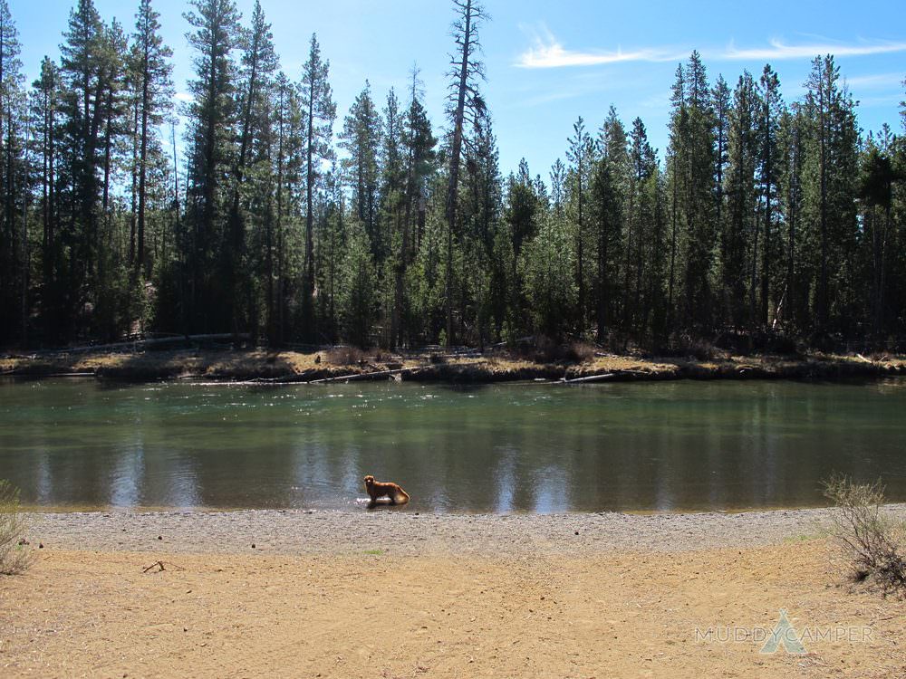 Bull Bend Campground - Deschutes River, Oregon
