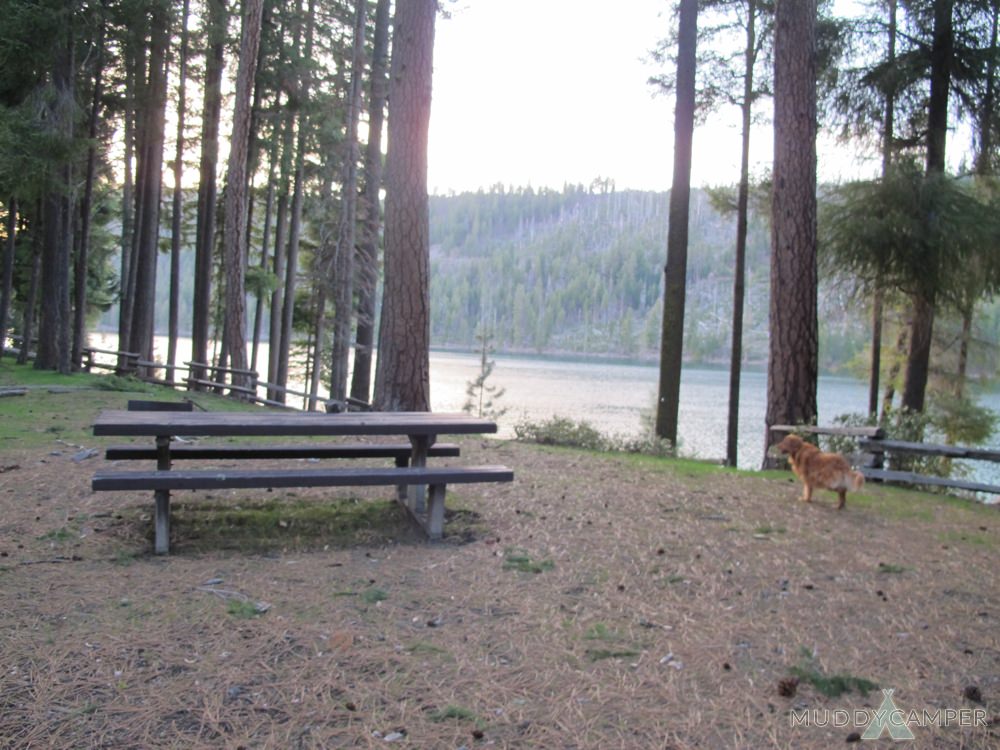 South Shore Campground - Suttle Lake, Central Oregon