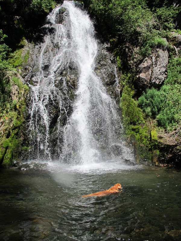 Sahale Falls - Mt. Hood, Oregon | 78 ft Hood River County Waterfall