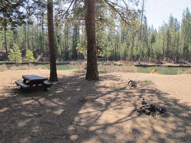 Timothy Lake, Oregon - Camping and Recreation Guide | Mt. Hood