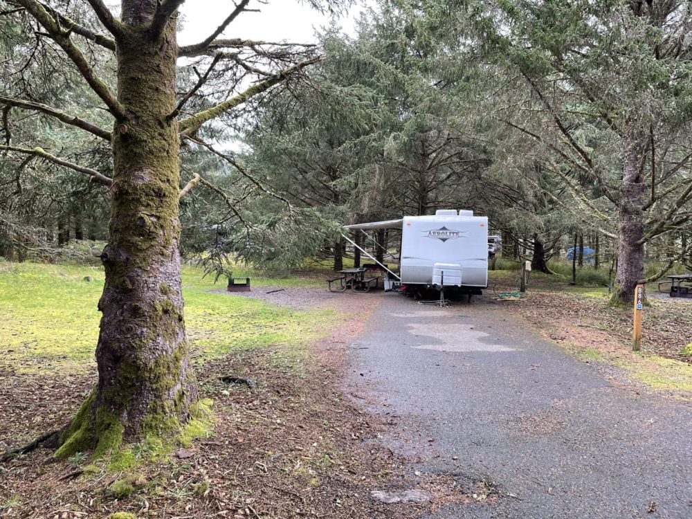 Cape Disappointment State Park Campground - Long Beach, Washington