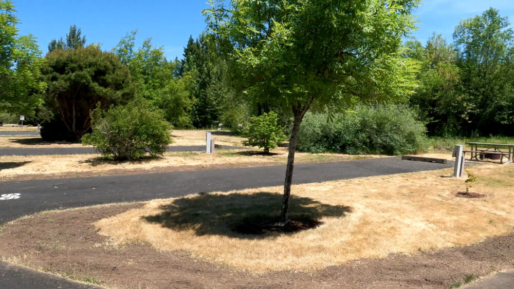 Barton Park - Clackamas County Campground Estacada, Oregon